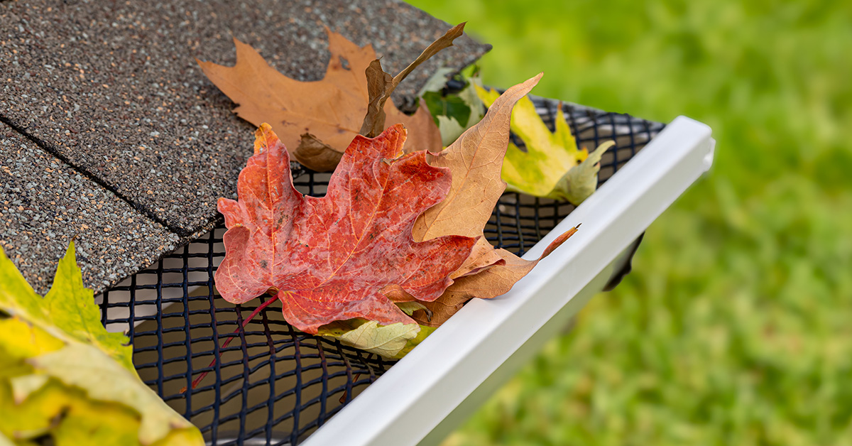 Types of Gutter Guards and How to Pick Yours | Besroi Roofing & Siding